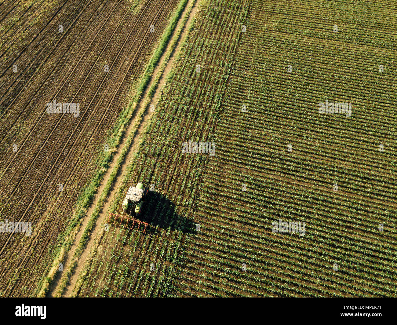 Green tractor, corn hi-res stock photography and images - Alamy