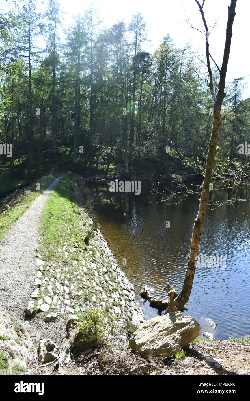 Cone dam hi-res stock photography and images - Alamy