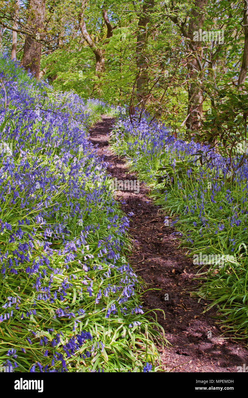 Calder path hi-res stock photography and images - Alamy