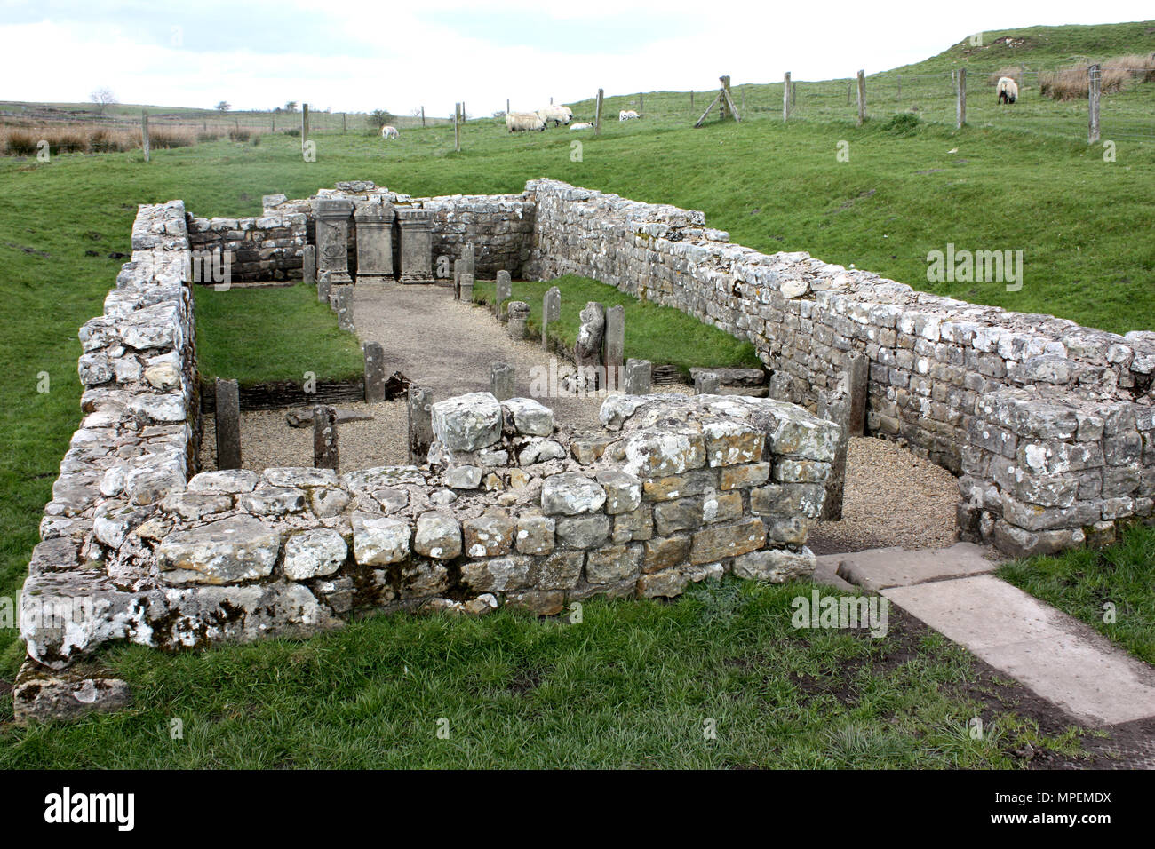 The Temple of Mithras at Carrawburgh near Hadrian's Wall Stock Photo ...