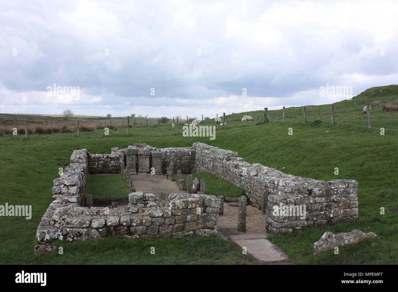 The Temple of Mithras at Carrawburgh near Hadrian's Wall Stock Photo ...