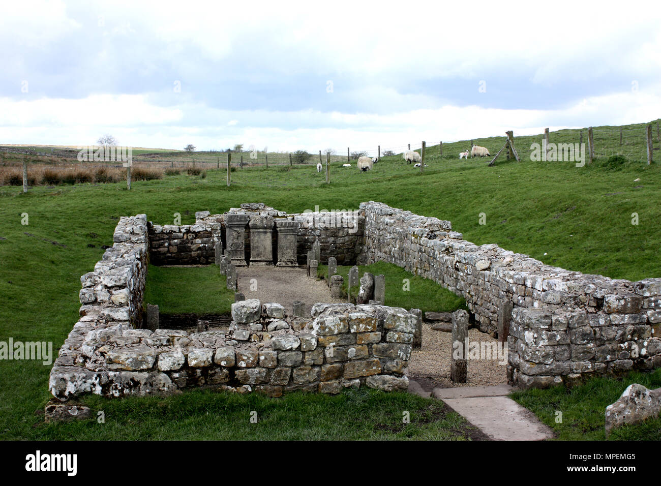 The Temple of Mithras at Carrawburgh near Hadrian's Wall Stock Photo ...