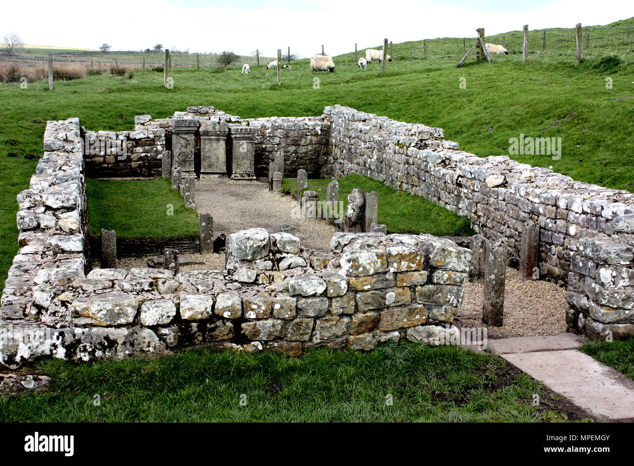 Temple of mithras carrawburgh hadrians wall hi-res stock photography and images - Alamy