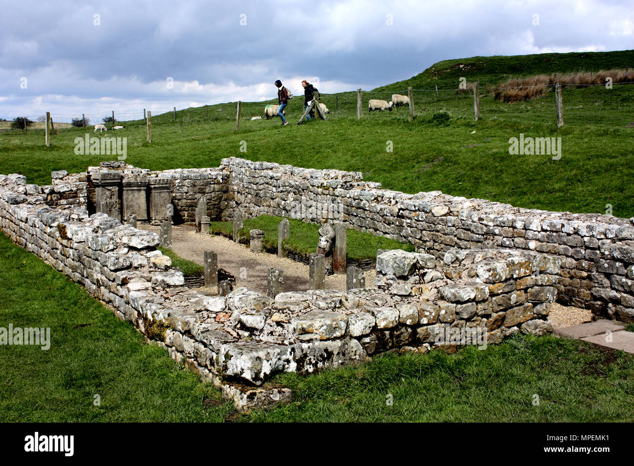 Temple of mithras carrawburgh hadrians wall hi-res stock photography ...