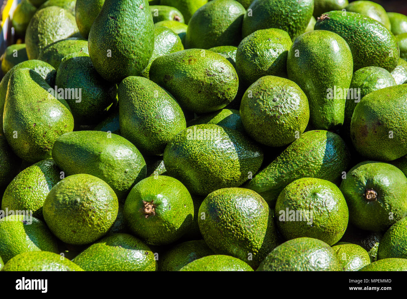 Green avacados hi-res stock photography and images - Alamy