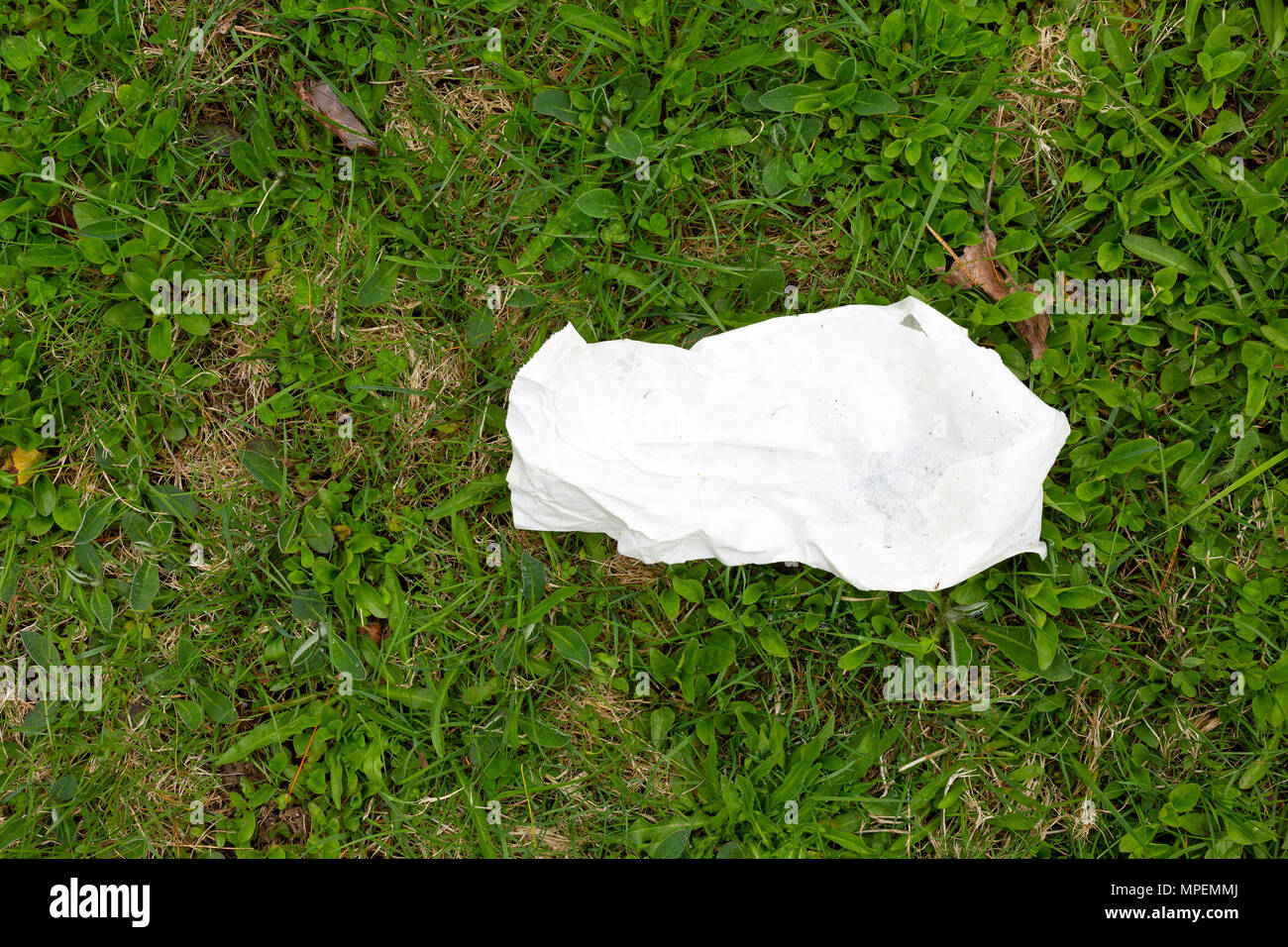 Top view of a piece of white paper trash on a green field Stock Photo ...