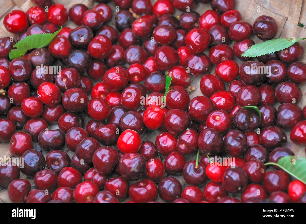 red cherries inside basket Stock Photo - Alamy