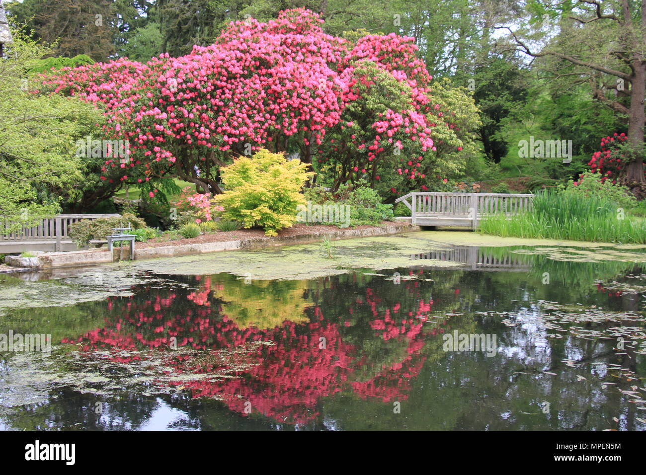 Gardd Bodnant High Resolution Stock Photography and Images - Alamy