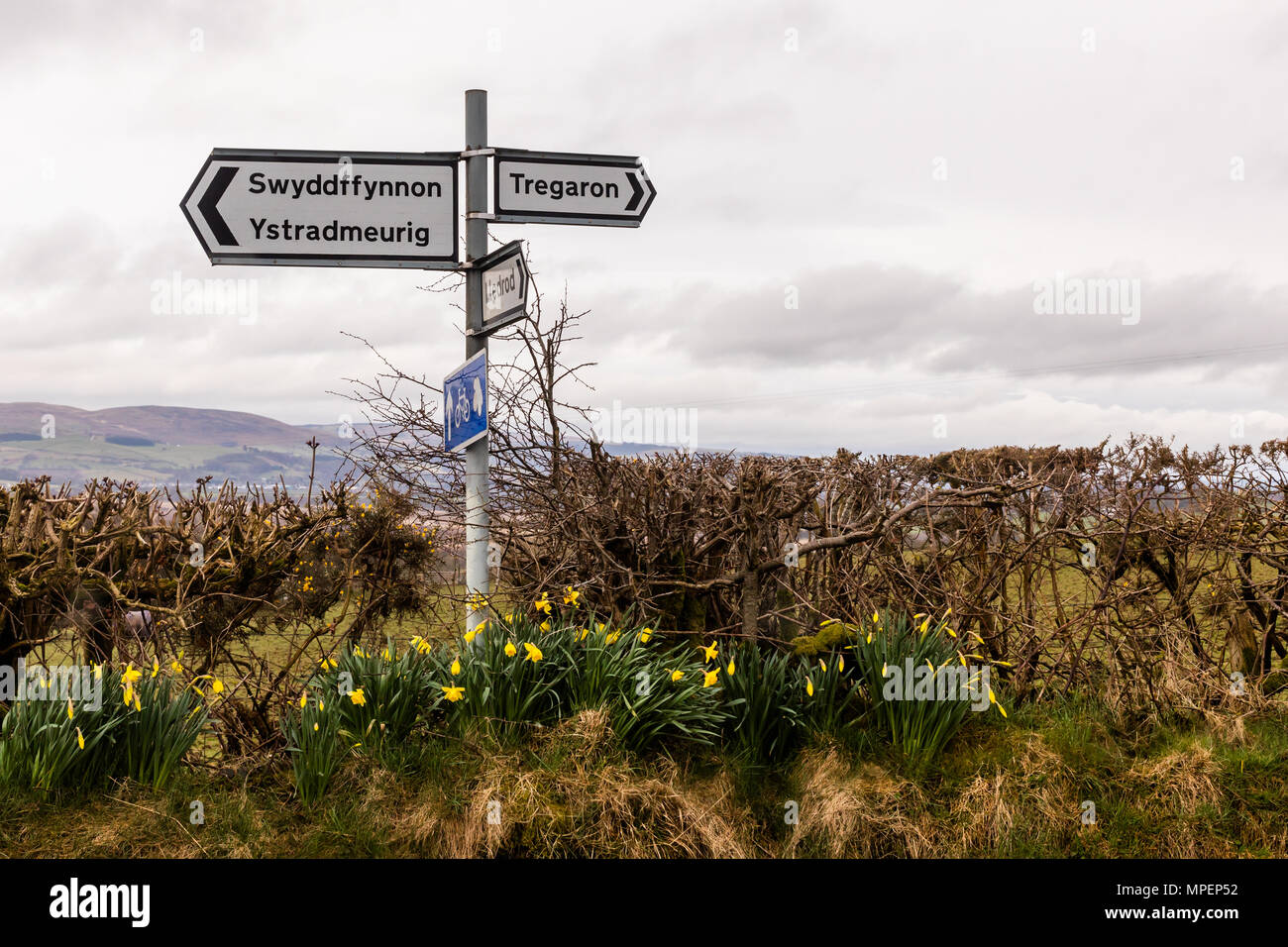 A three way road sign with welsh place names on Stock Photo - Alamy