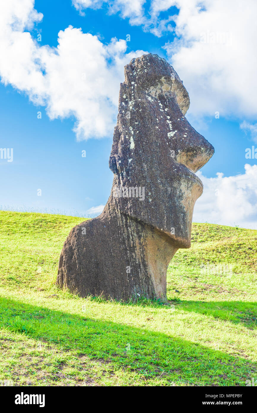 A solo Moai statue stands on the side of a green hill Stock Photo - Alamy