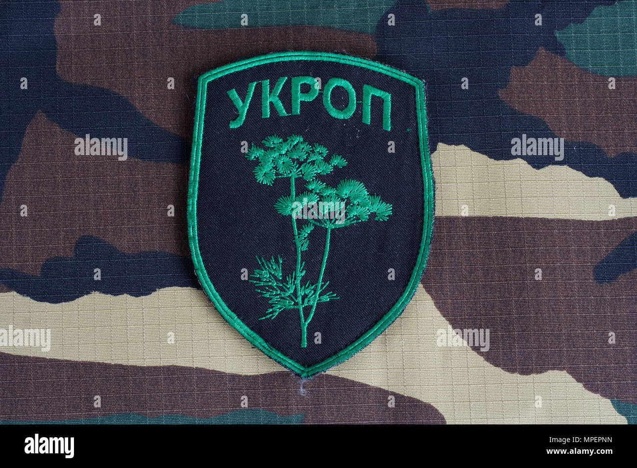 KIEV, UKRAINE - July, 08, 2015. Ukraine Army unofficial uniform badge ...