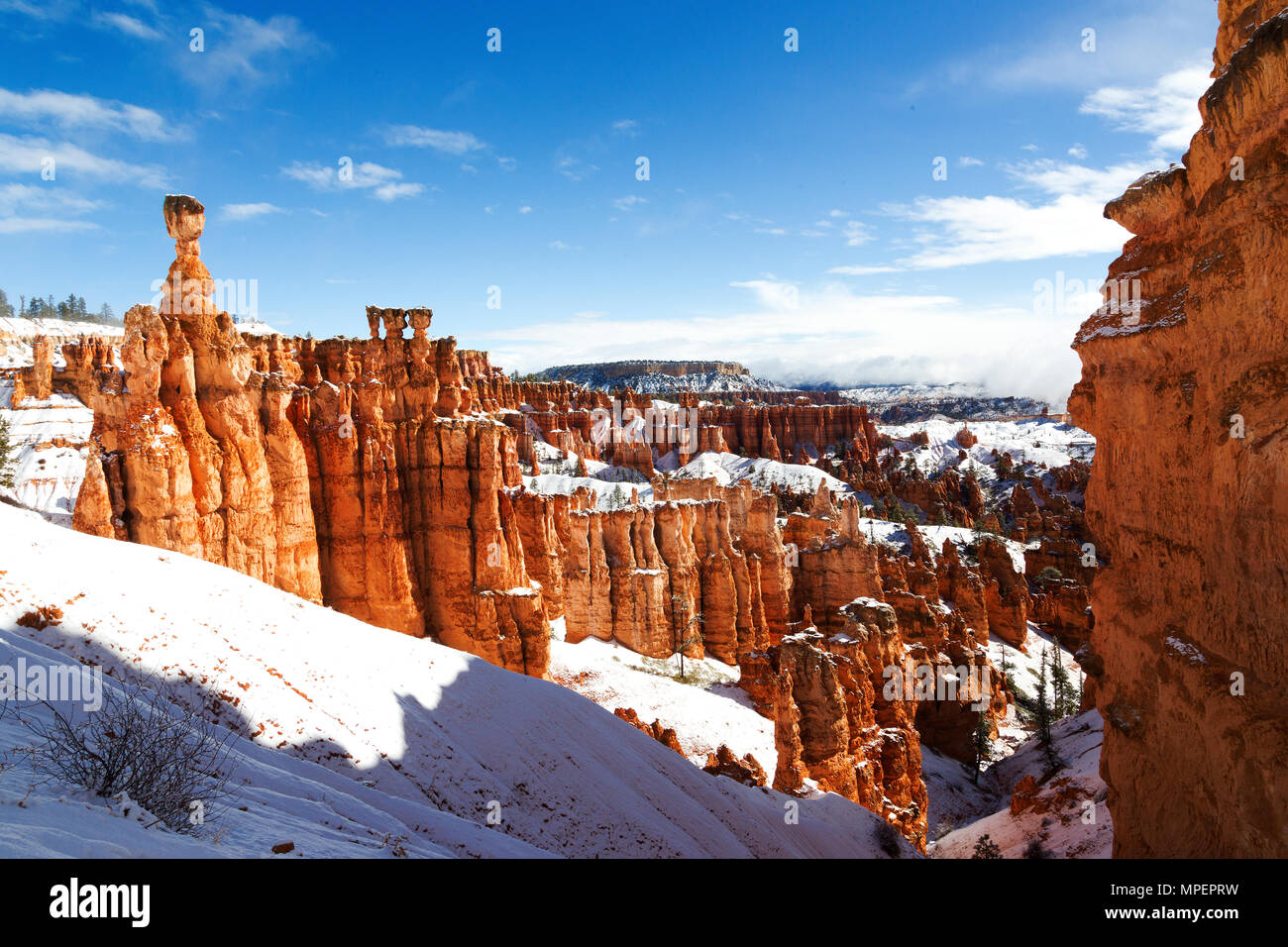 Bryce Canyon National Park, Utah, USA fresh winter snow Stock Photo - Alamy