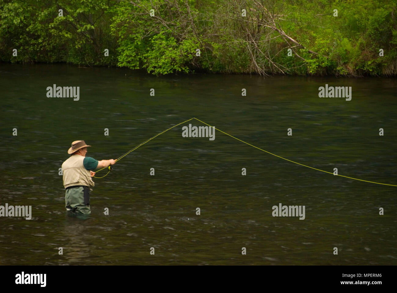 Fly-fishing, Metolius Wild & Scenic River, Deschutes National Forest ...