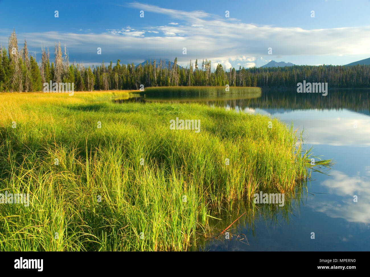 Little Lava Lake, Cascade Lakes National Scenic Byway, Deschutes ...