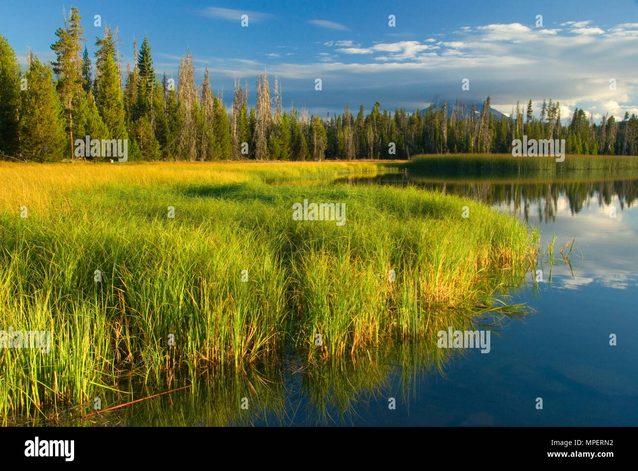 Little Lava Lake, Cascade Lakes National Scenic Byway, Deschutes ...