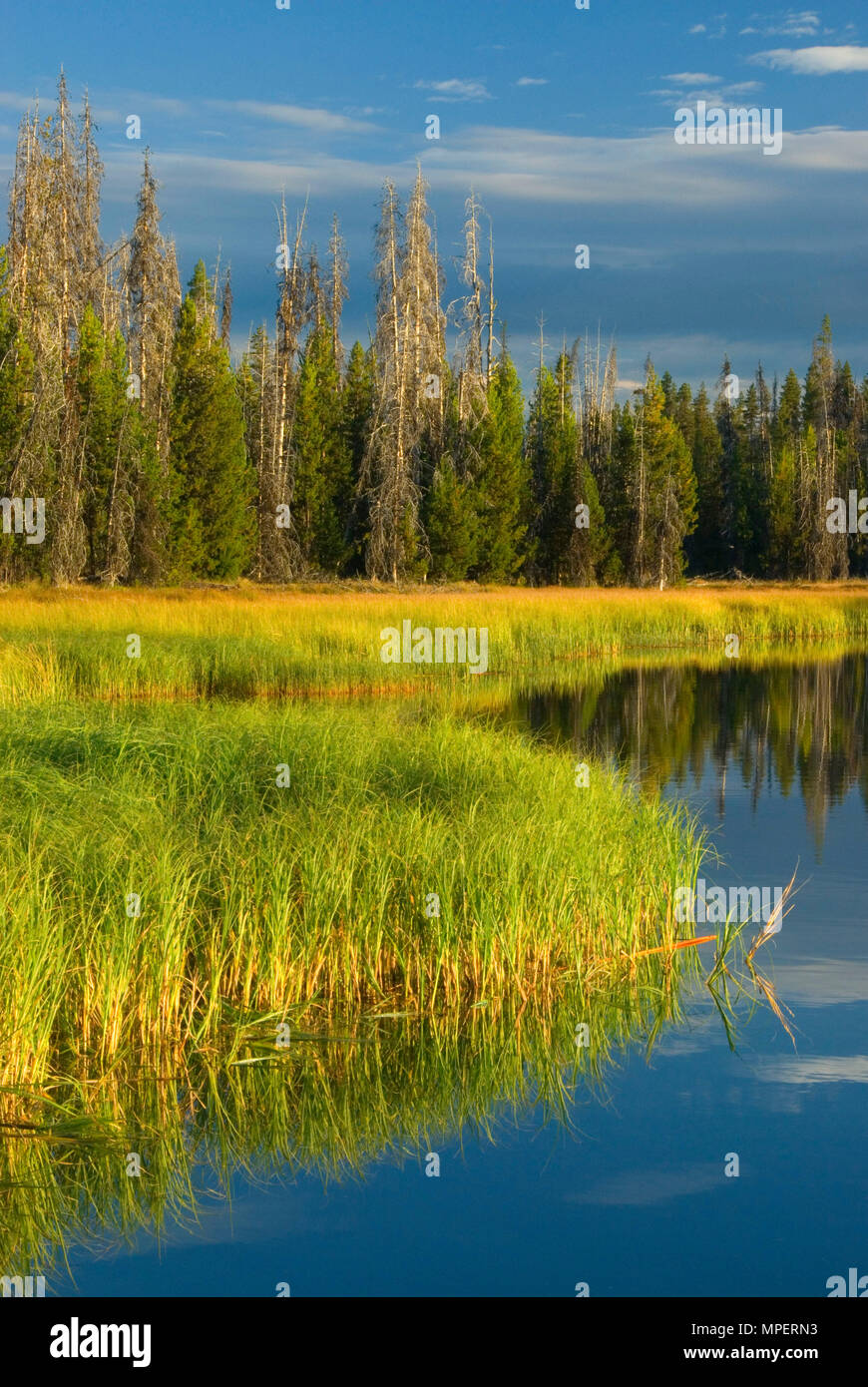 Little Lava Lake, Cascade Lakes National Scenic Byway, Deschutes ...