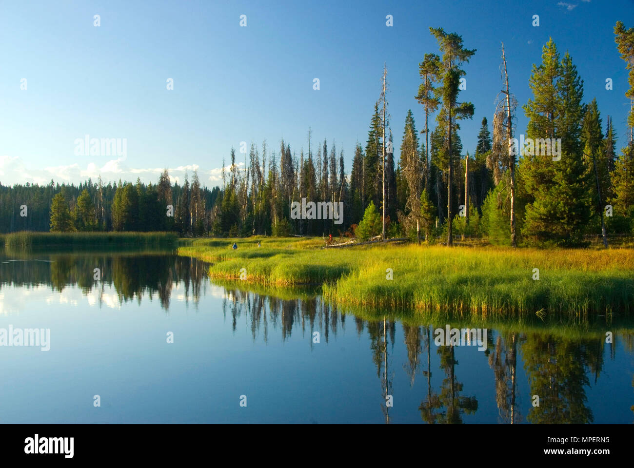 Little Lava Lake, Cascade Lakes National Scenic Byway, Deschutes ...
