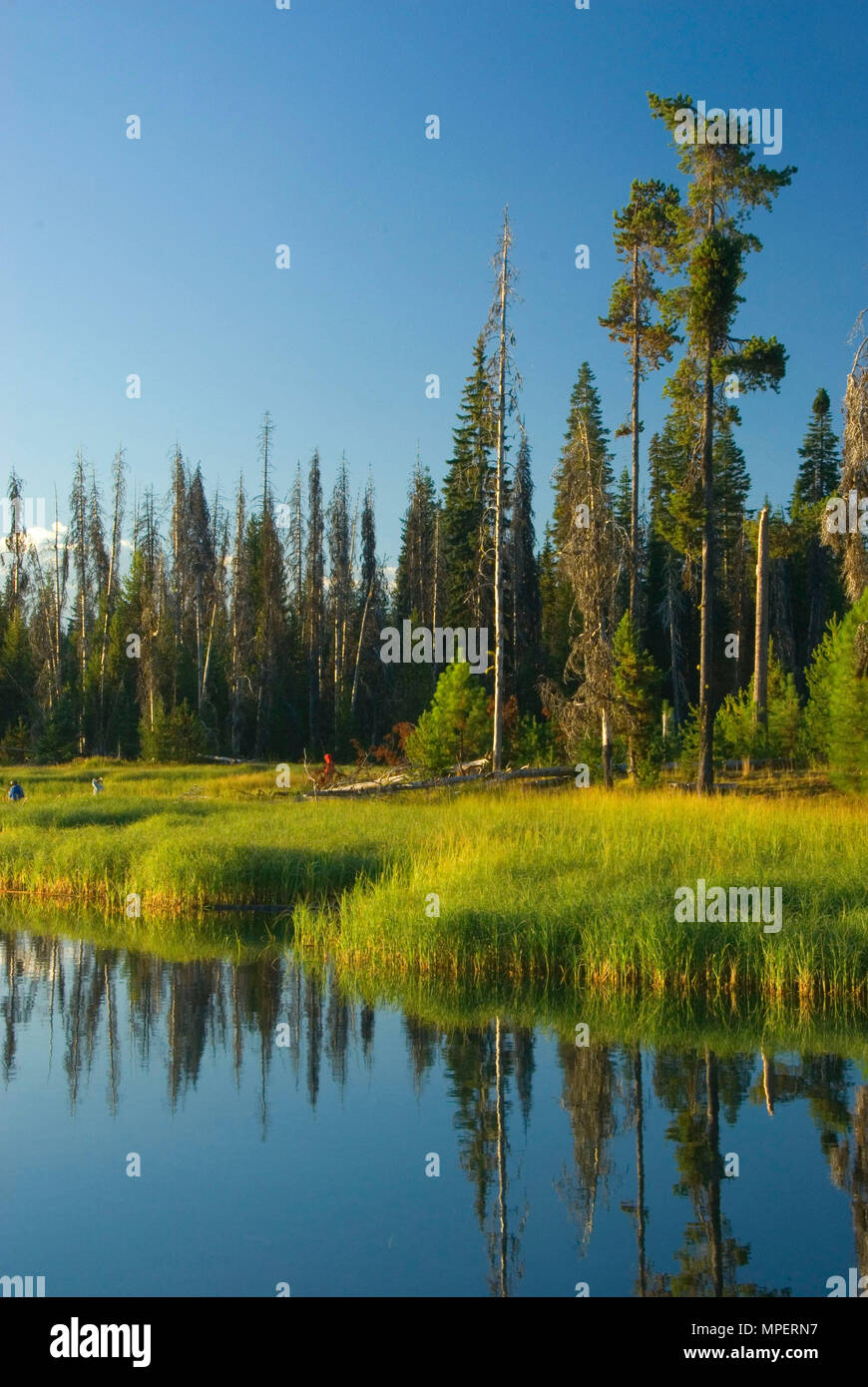 Little Lava Lake, Cascade Lakes National Scenic Byway, Deschutes ...