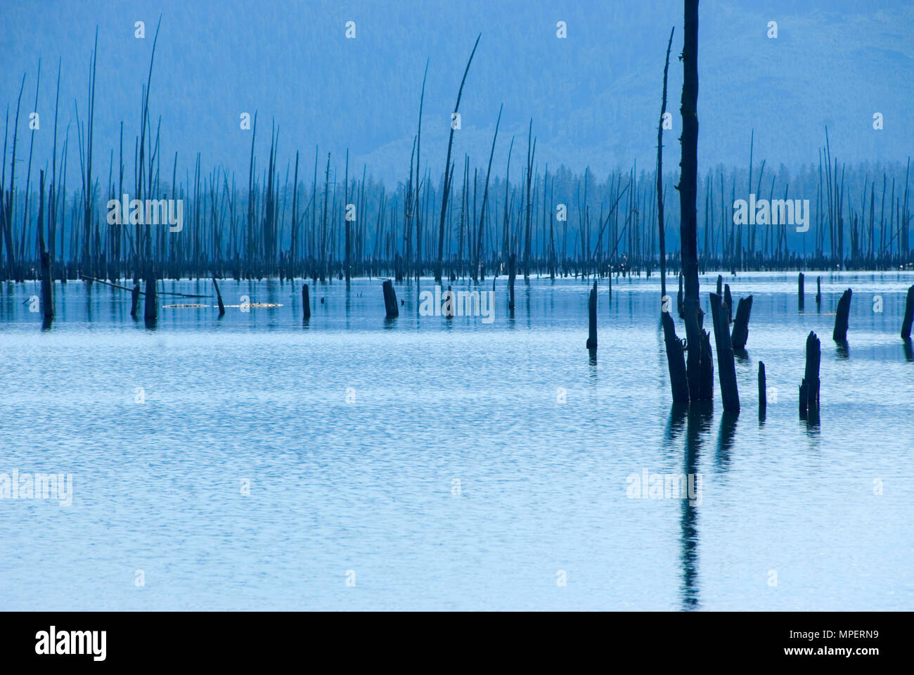 Crane Prairie Reservoir, Cascade Lakes National Scenic Byway, Deschutes ...
