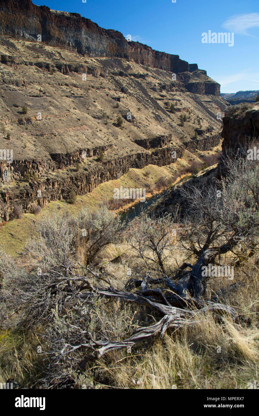 Crooked Wild and Scenic River canyon from Lone Pine Trail, Crooked ...