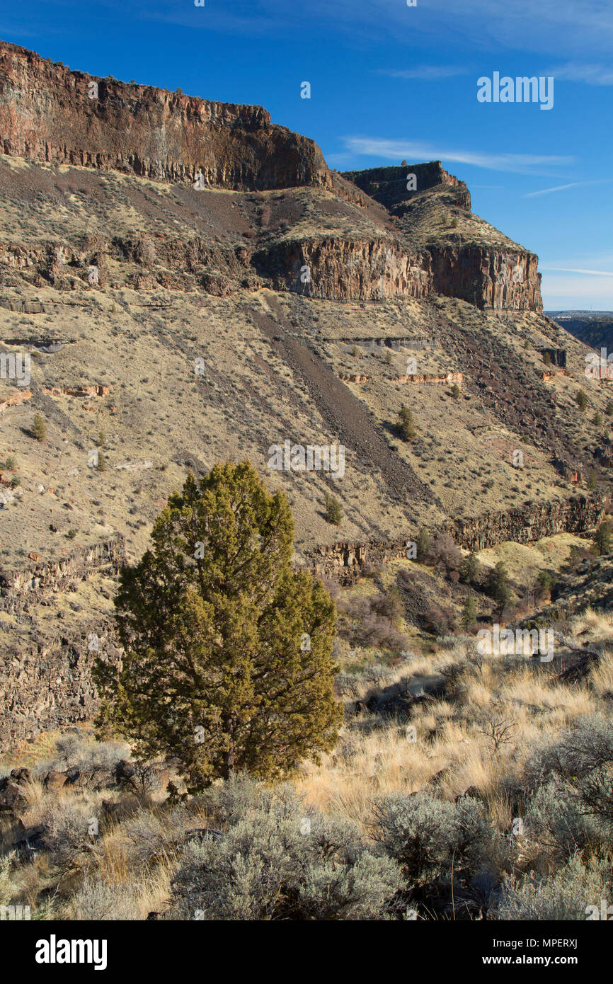 Crooked Wild and Scenic River canyon from Lone Pine Trail, Crooked ...