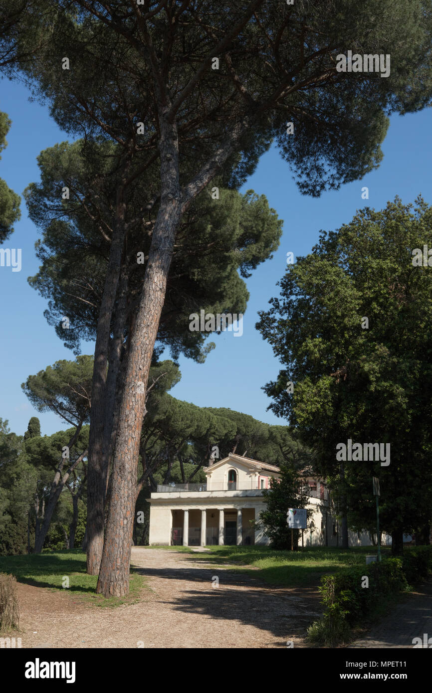 Villa borghese pine trees hi-res stock photography and images - Alamy