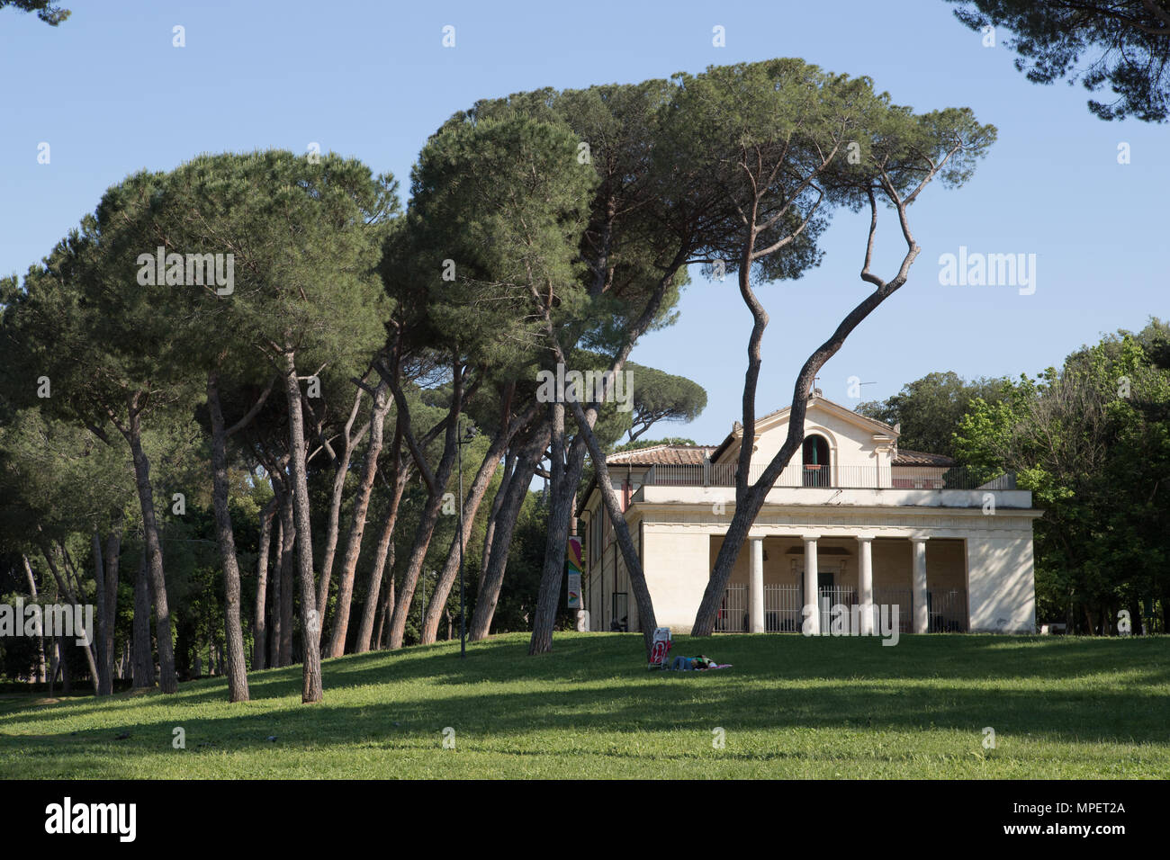 Villa borghese pine trees hi-res stock photography and images - Alamy