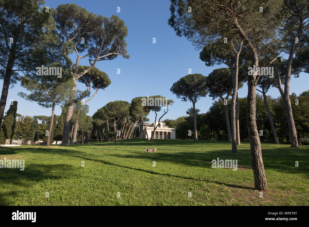 Villa borghese pine trees hi-res stock photography and images - Alamy