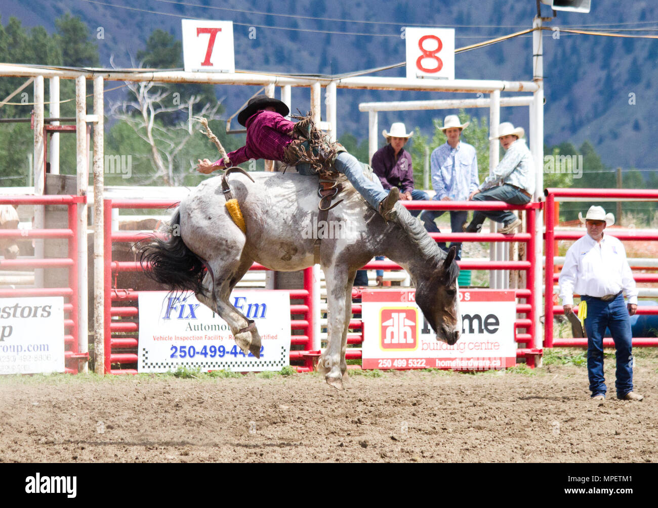 Bareback hi-res stock photography and images - Alamy