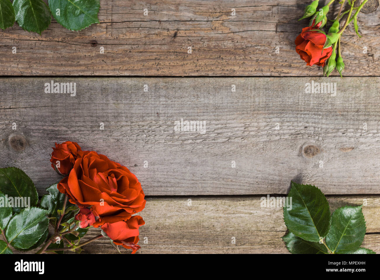 red rose over wooden floor Stock Photo - Alamy