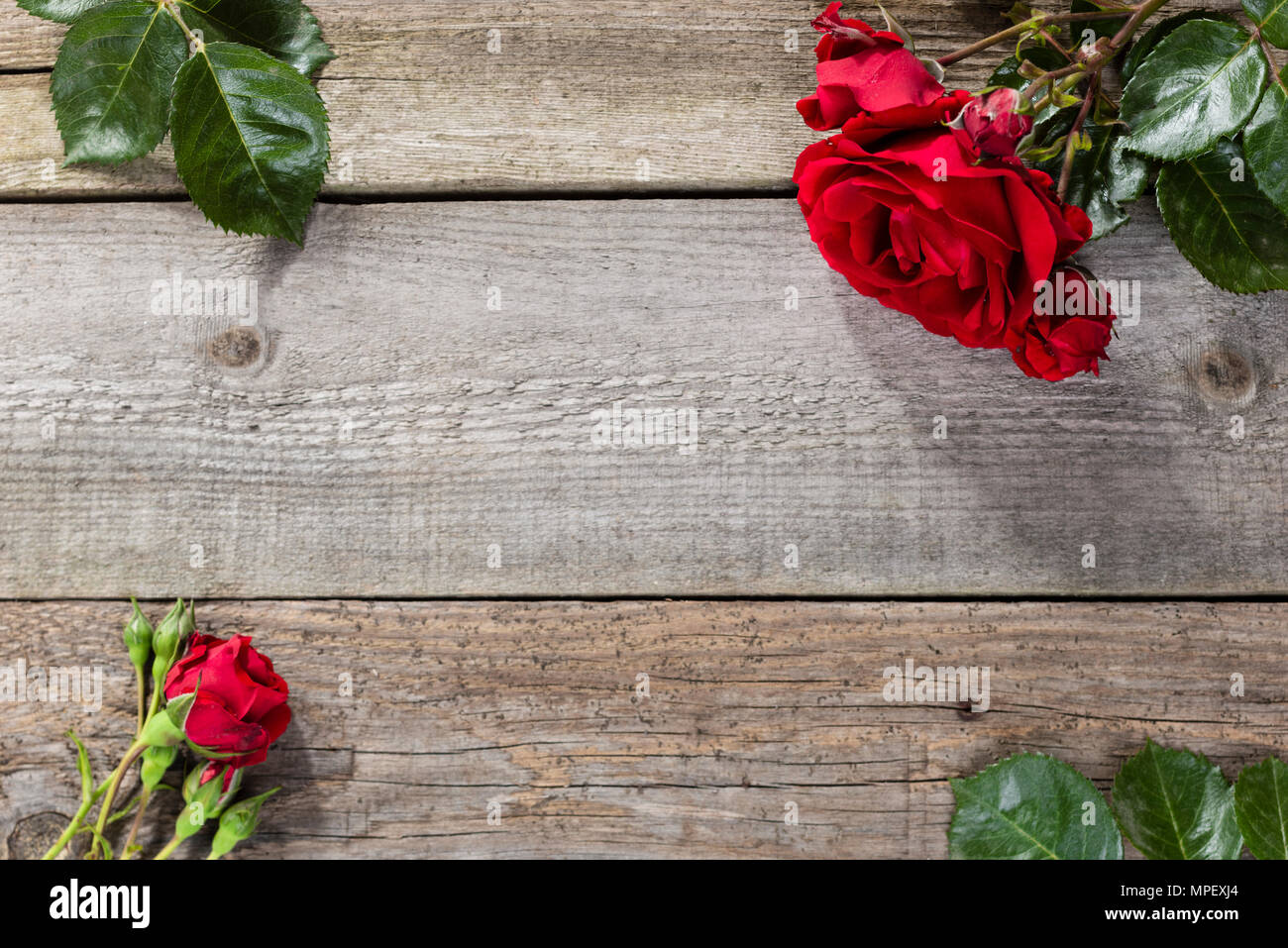 red rose over wooden floor Stock Photo - Alamy