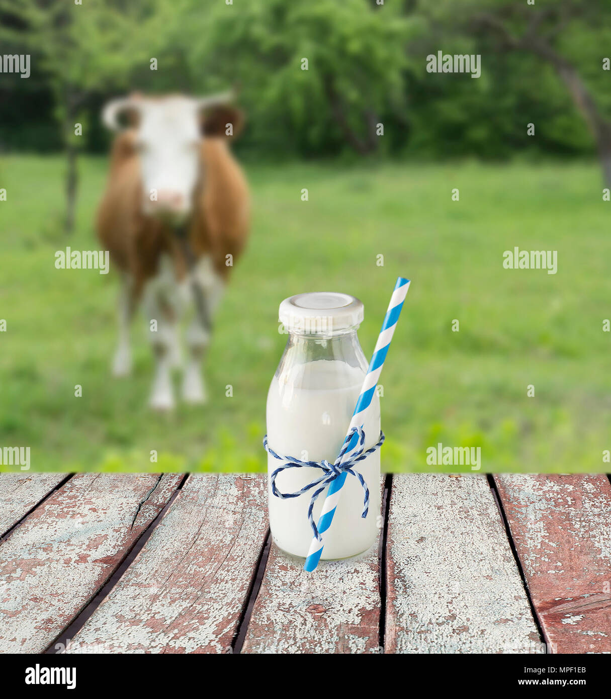 Milk bottle with striped straw. Cow's milk overlooking a meadow with ...