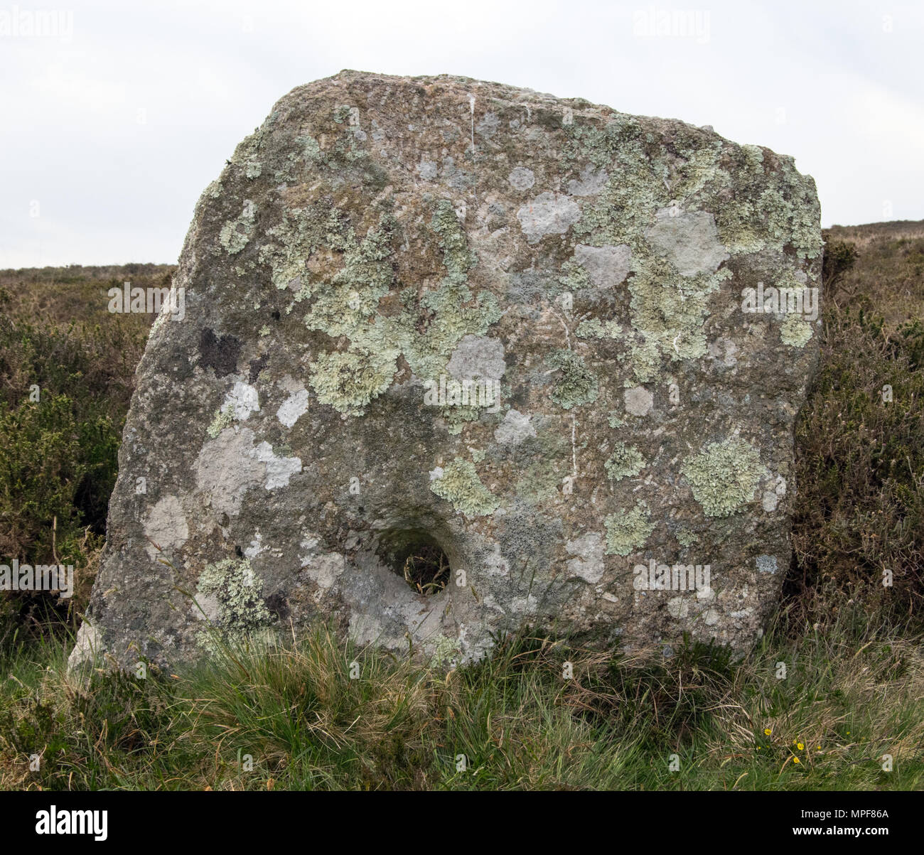 Holed Stone near Tregeseal, Penwith Moors, Cornwall UK Stock Photo - Alamy