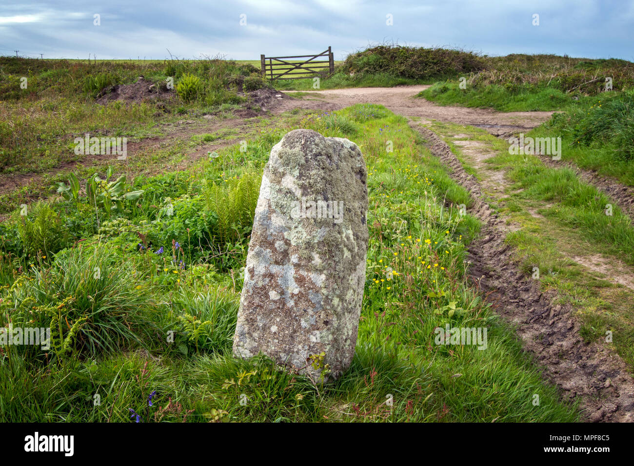 Inscribed stone hi-res stock photography and images - Alamy