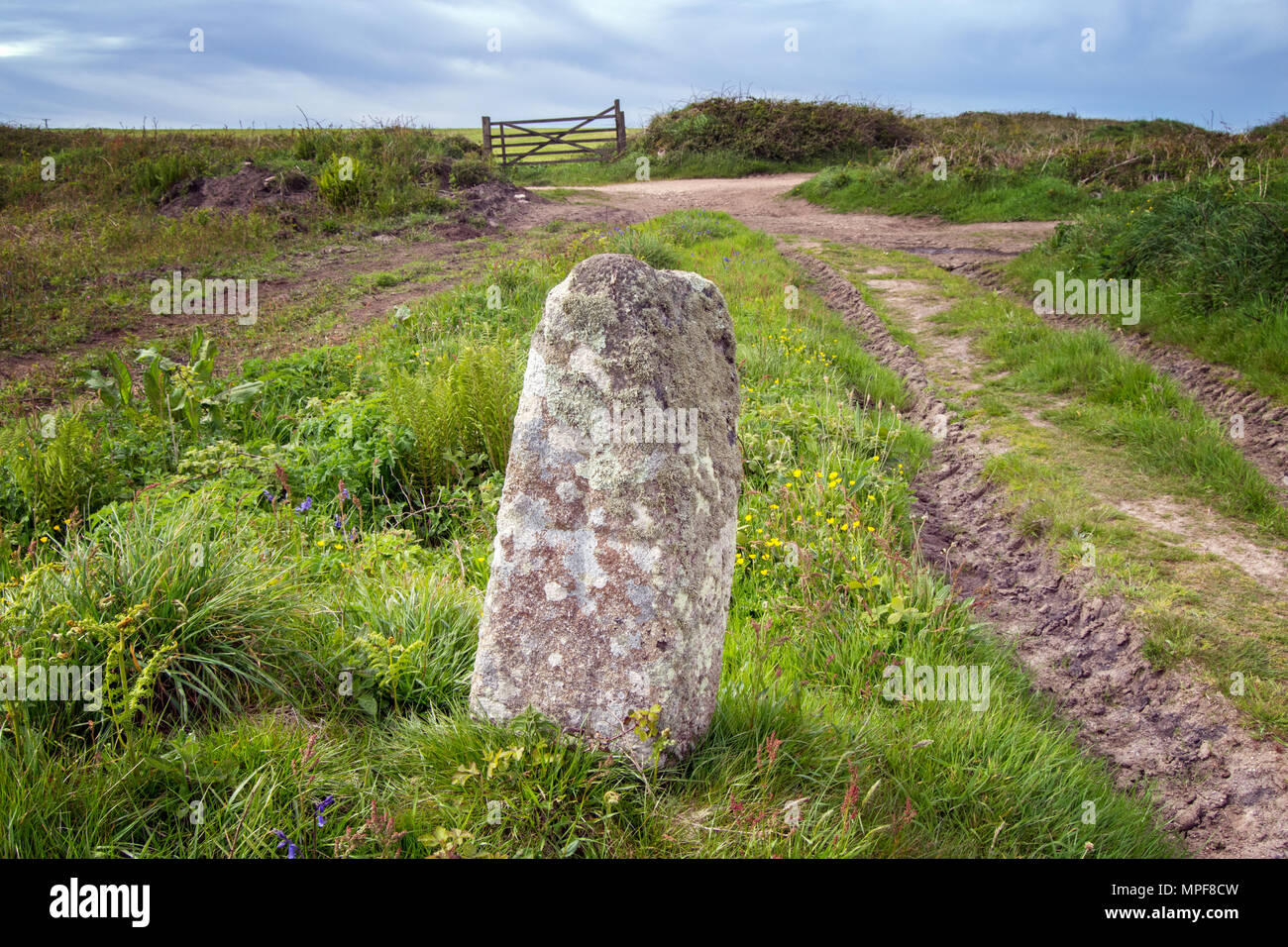 Inscribed stone hi-res stock photography and images - Alamy