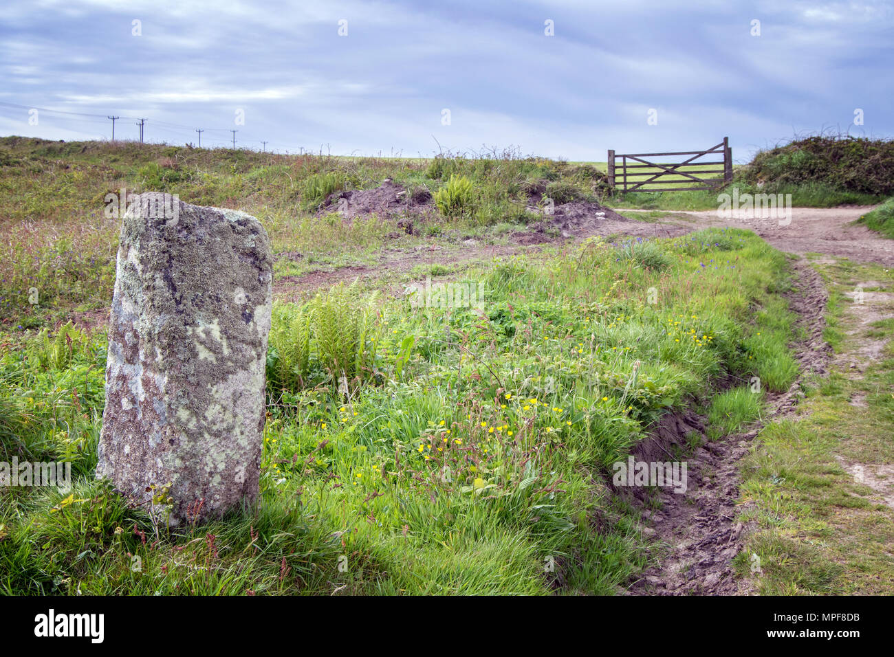Inscribed stone hi-res stock photography and images - Alamy
