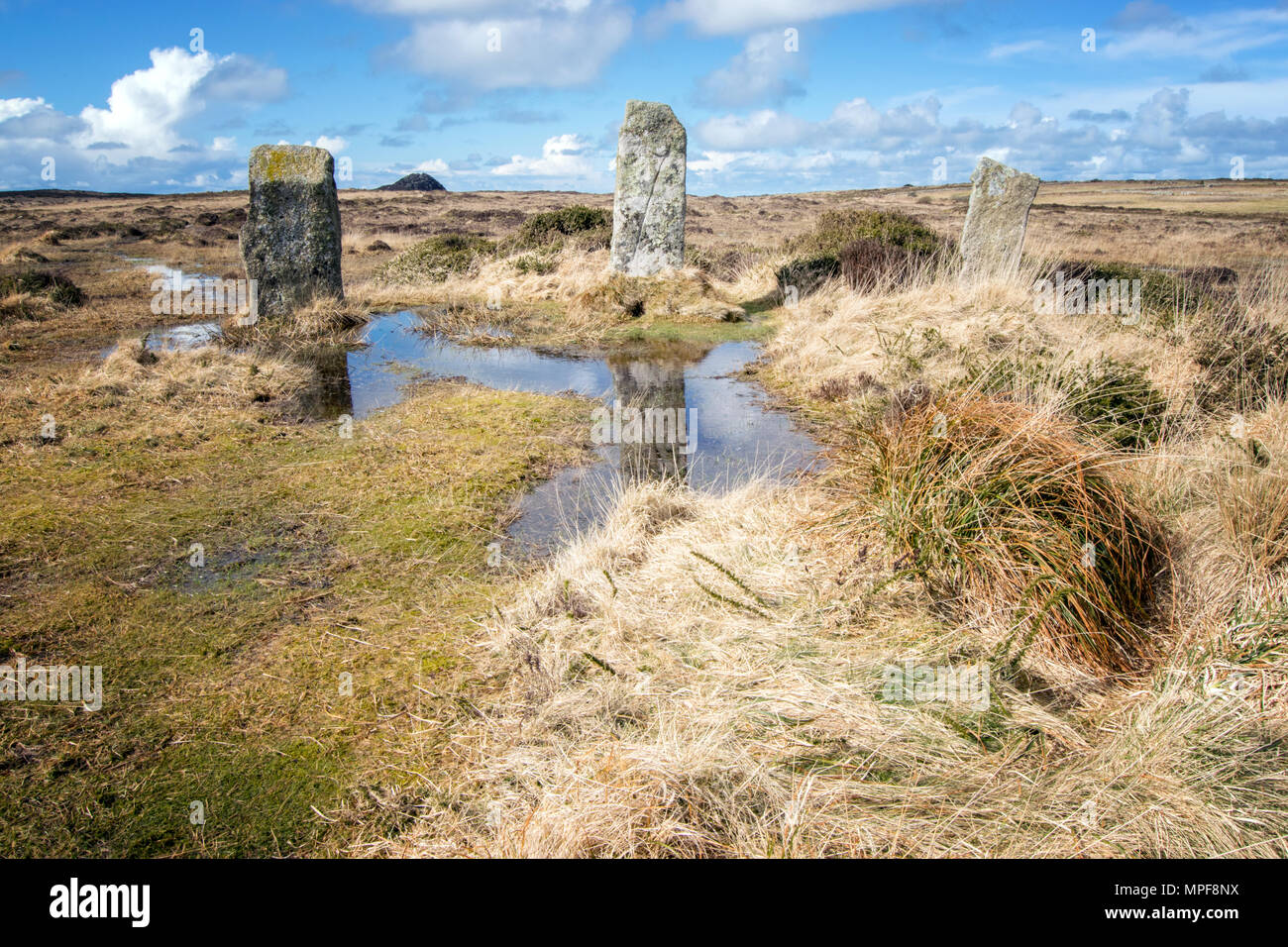 Stones at the Nine Maidens or Boskednan Stone Circle, Penwith Moors ...