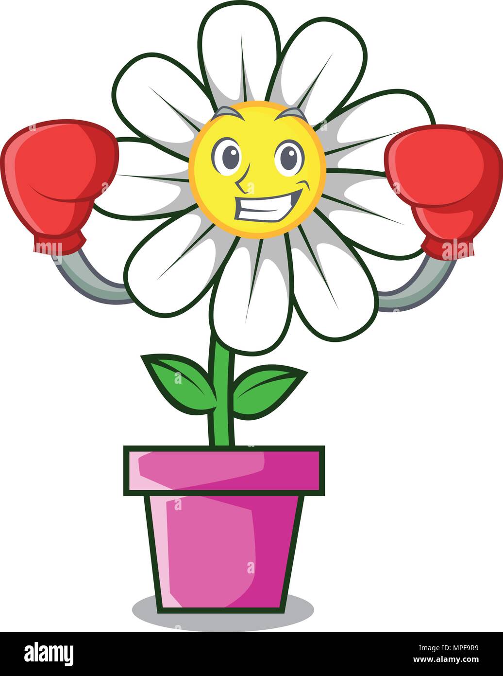 Boxing daisy flower character cartoon Stock Vector Image & Art - Alamy