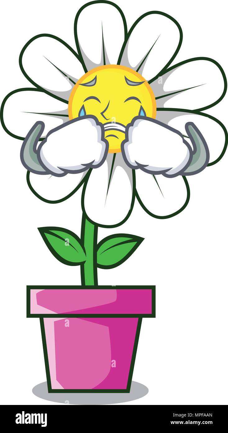 Crying daisy flower mascot cartoon Stock Vector Image & Art - Alamy