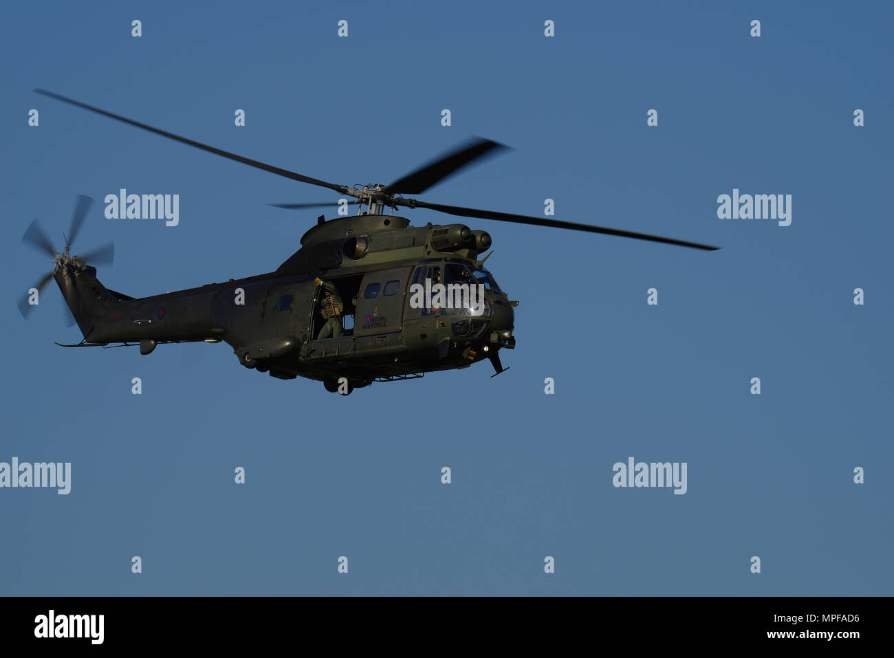 Sa330 Puma High Resolution Stock Photography and Images - Alamy