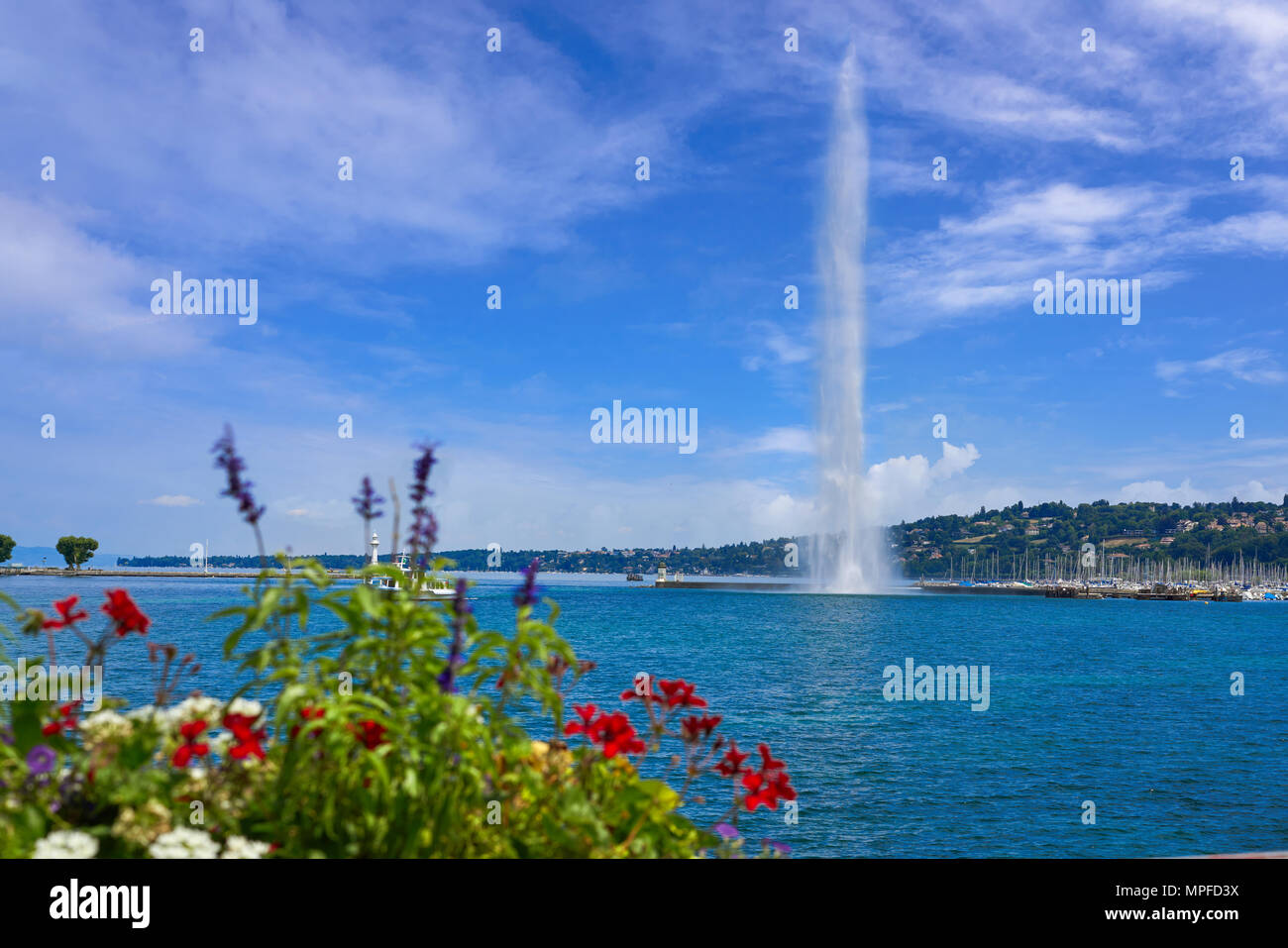 Geneva Geneve lake water Jet D'eau Switzerland Swiss Leman Stock Photo ...