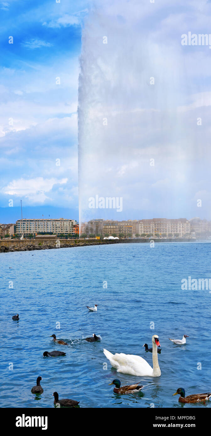 Geneva Geneve lake water Jet D'eau Switzerland Swiss Leman Stock Photo ...
