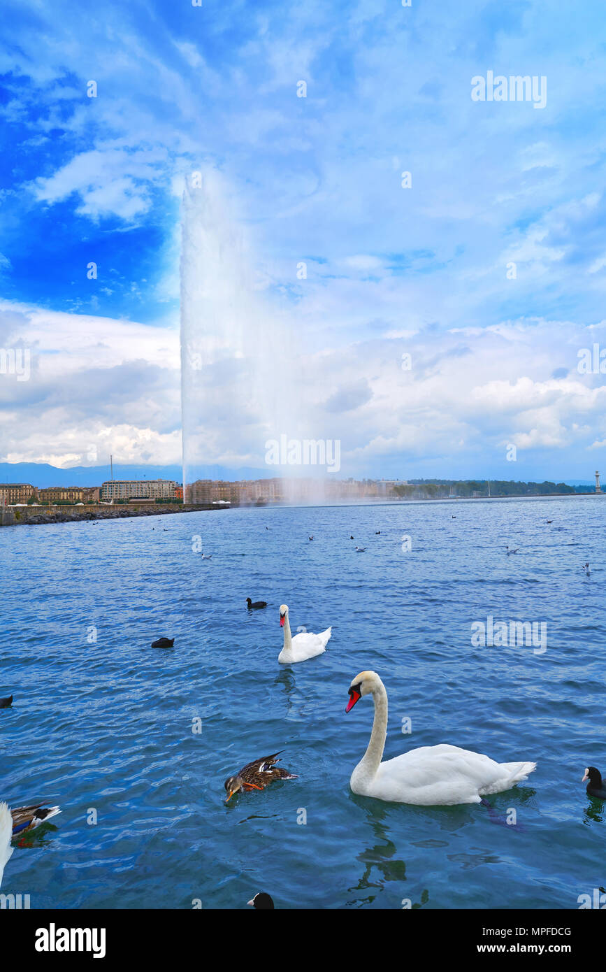 Geneva Geneve lake water Jet D'eau Switzerland Swiss Leman Stock Photo ...