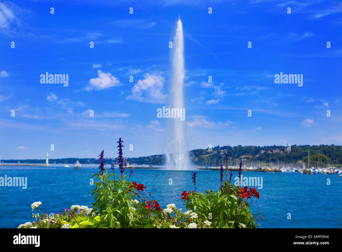 Geneva Geneve lake water Jet D'eau Switzerland Swiss Leman Stock Photo ...
