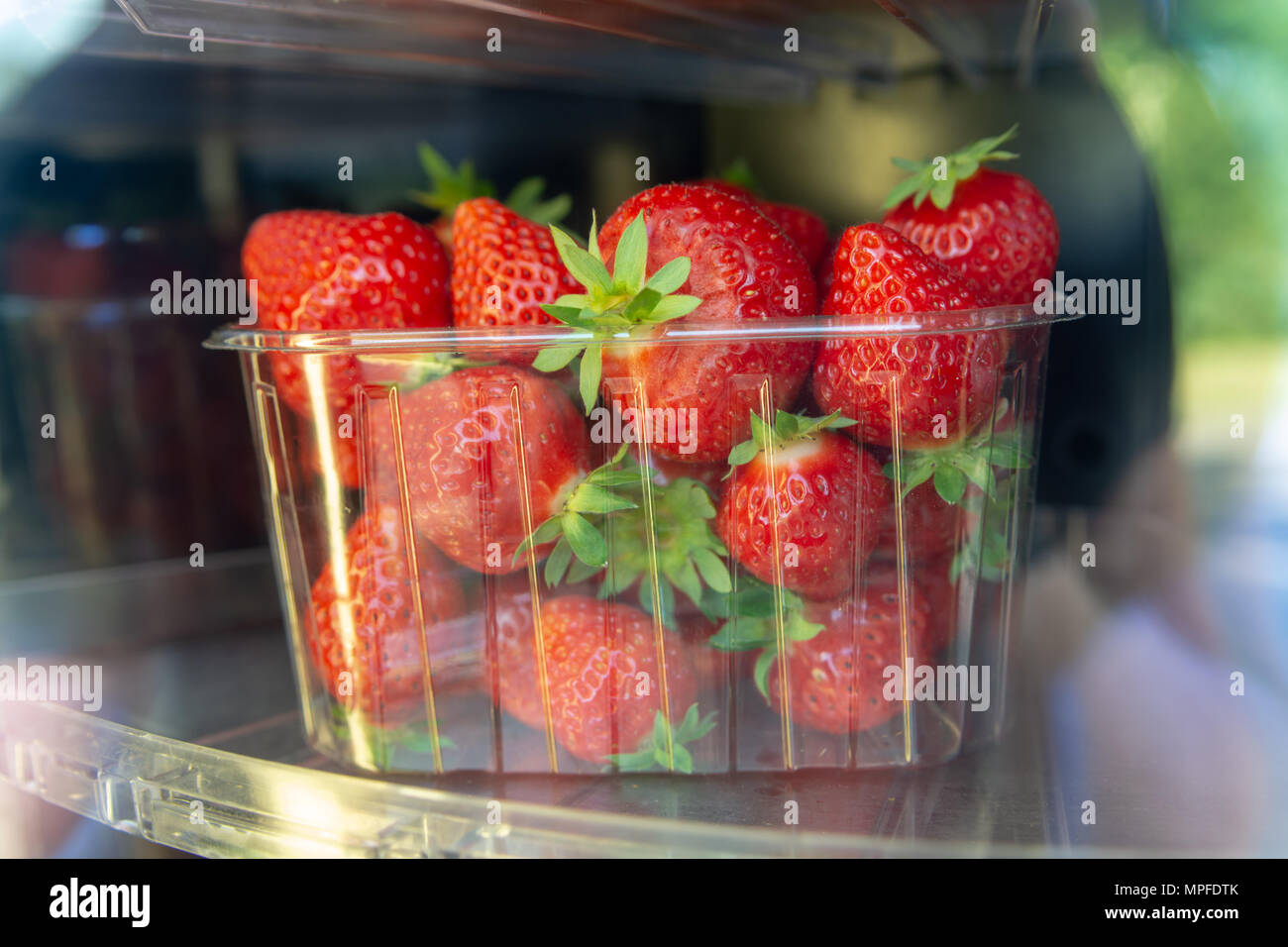 Strawberry vending machine, ripe big red strawberries for sale, new ...