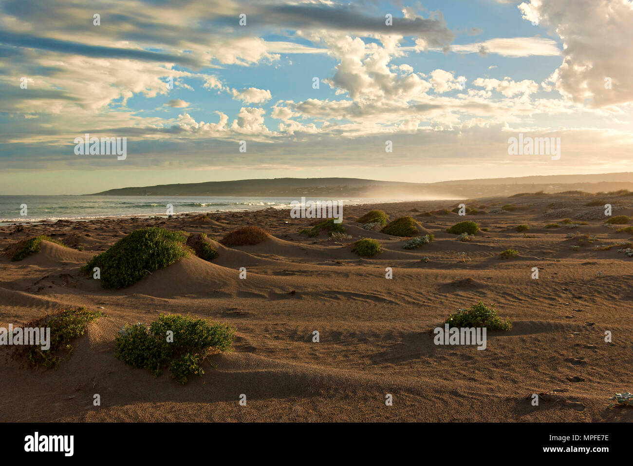 Sand dunes western australia hi-res stock photography and images - Alamy