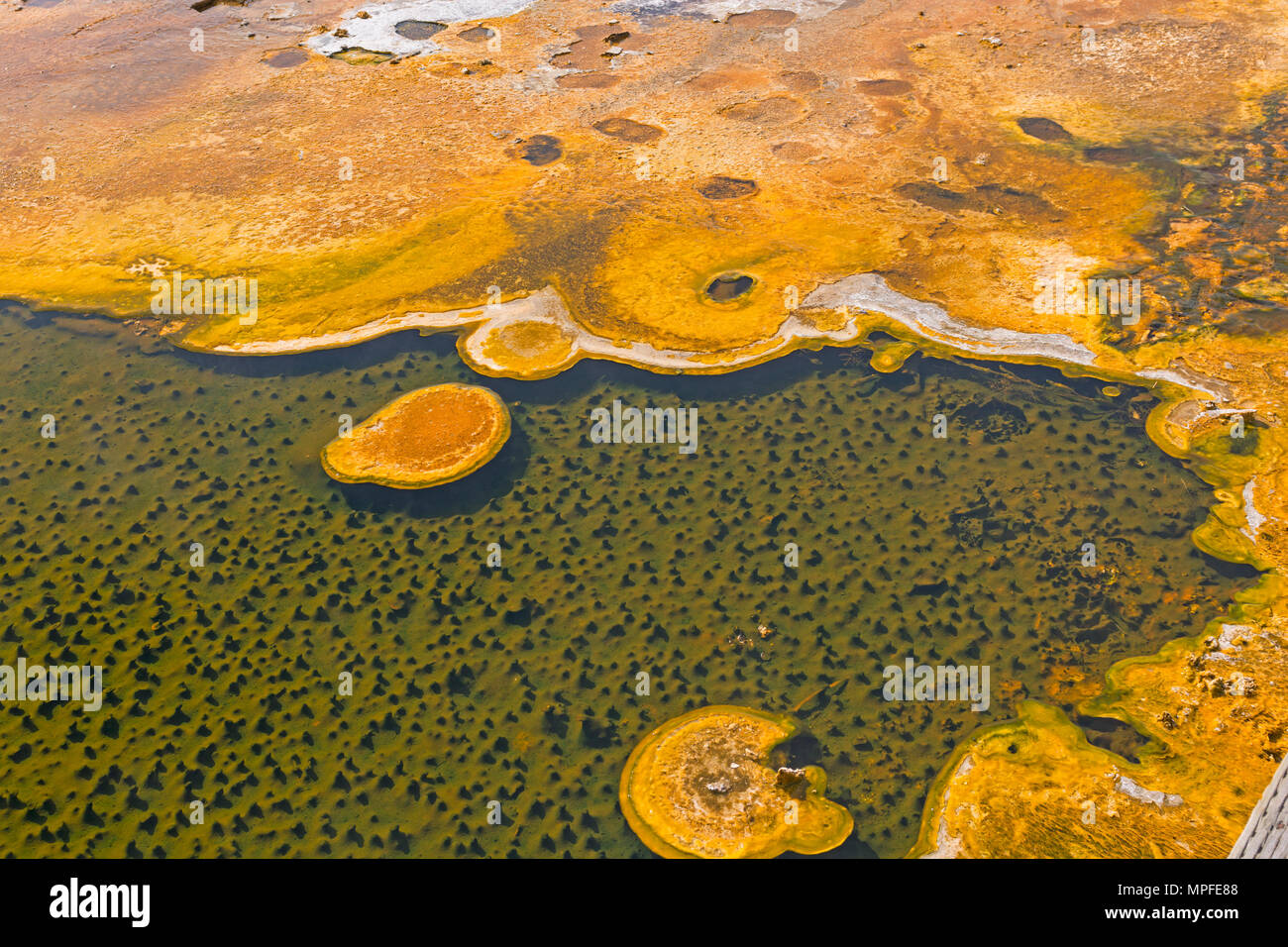 Dramatic Colors in a Thermal Pool in Yellowstone National Park Stock ...