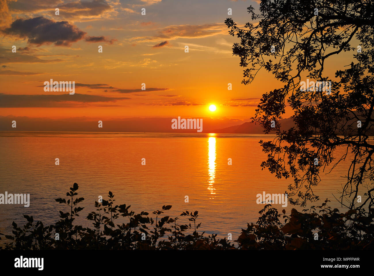 Leman Geneva lake sunset in Switzerland Swiss Stock Photo - Alamy