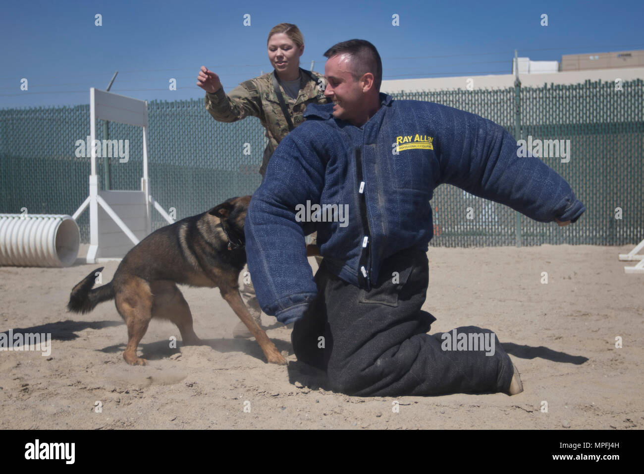 Jerry, a military working dog (MWD) with the Directorate of Emergency ...