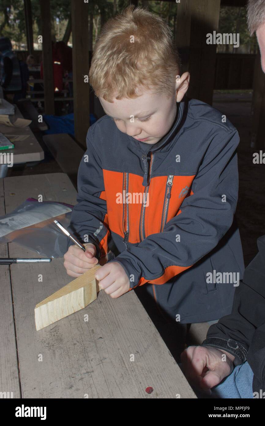 Wolf cub scout hi-res stock photography and images - Alamy